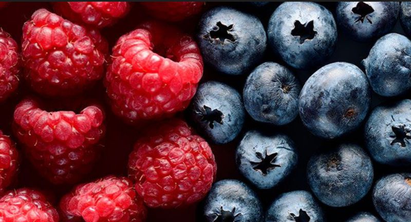 Farm fresh frozen fruit in Sorbatto’s Raspberry Frosty Blue transforms ...