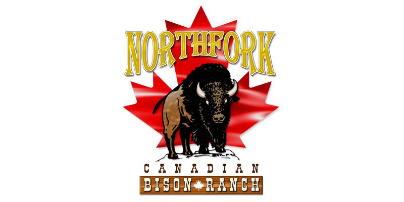 NORTHFORK BISON Announces Promotion of Marc Mousseau to Vice President ...
